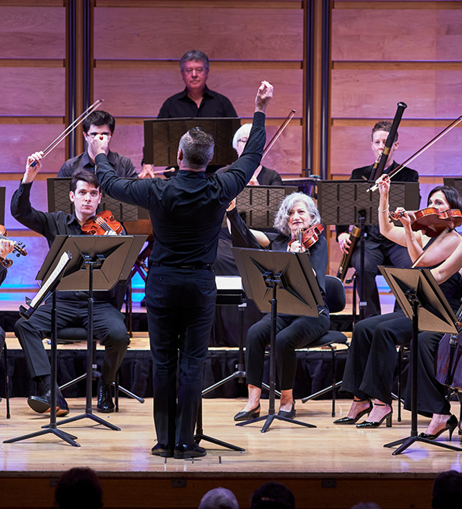 Australian Brandenburg Orchestra - Meet the Orchestra